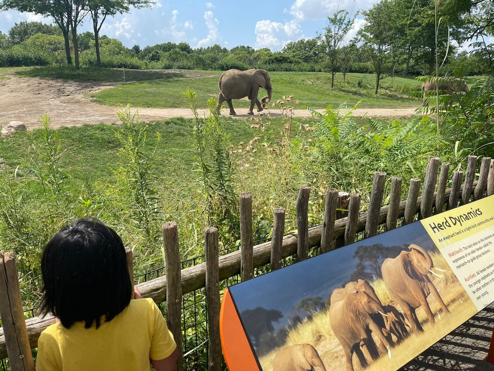 Transforming Lives: The GRSCorp and Saratoga Land Development ...